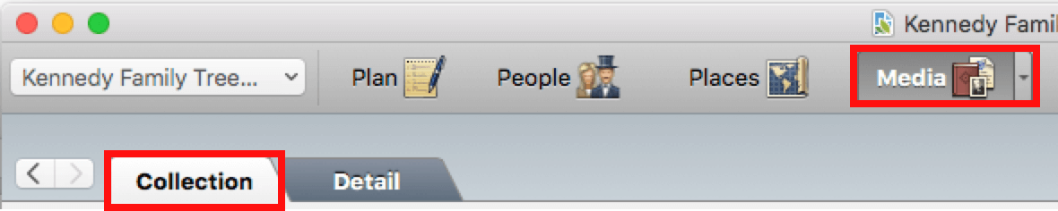 Family Tree Maker - Beta Test Qualification | The Software MacKiev Company