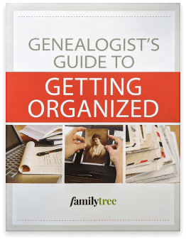 Software MacKiev - U.S. Store